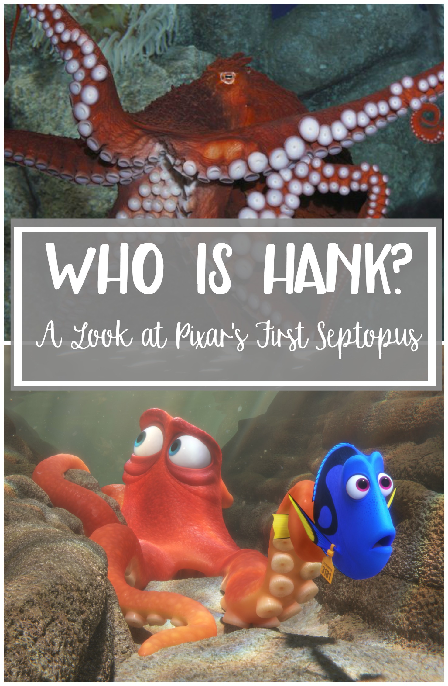 Who is Hank? Meet Finding Dory's Star Septopus! - {Not Quite} Susie ...