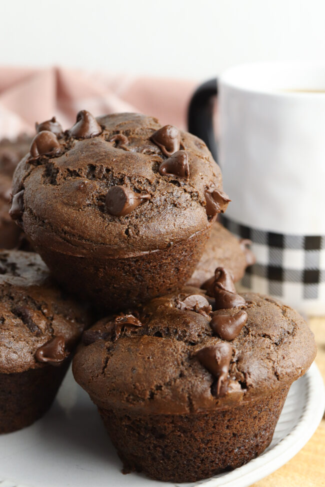 Mocha Muffins Recipe | Easy Fresh Muffins with Espresso - {Not Quite} Susie Homemaker