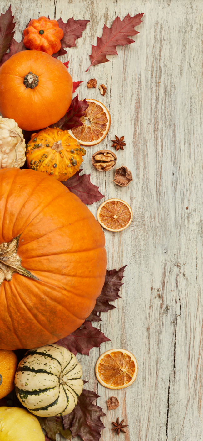 Download Fall Wallpapers for Free- Over 20 Designs to Choose From ...